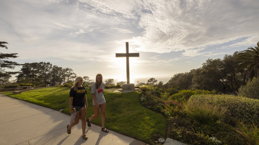 Vocation vs. Profession: What’s the Difference? | PLNU