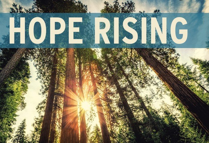 Hope Rising Unsung Hero Nominations | PLNU