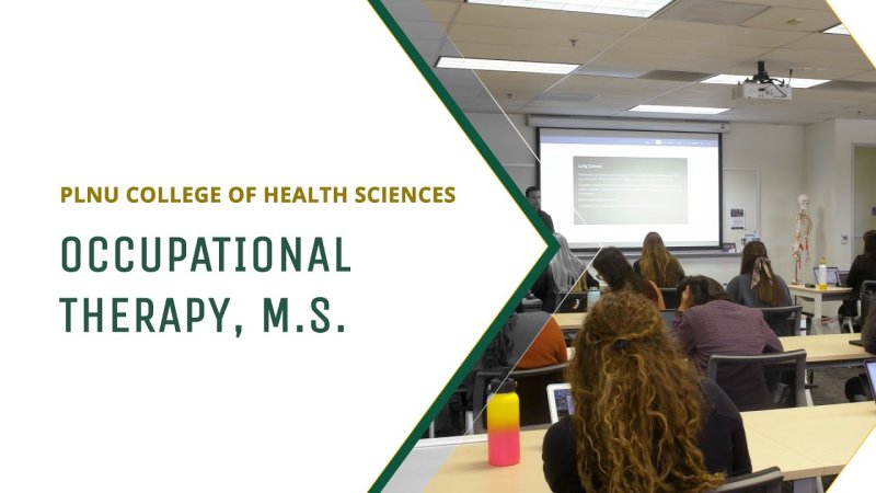 Everything to Know About Occupational Therapy School | PLNU